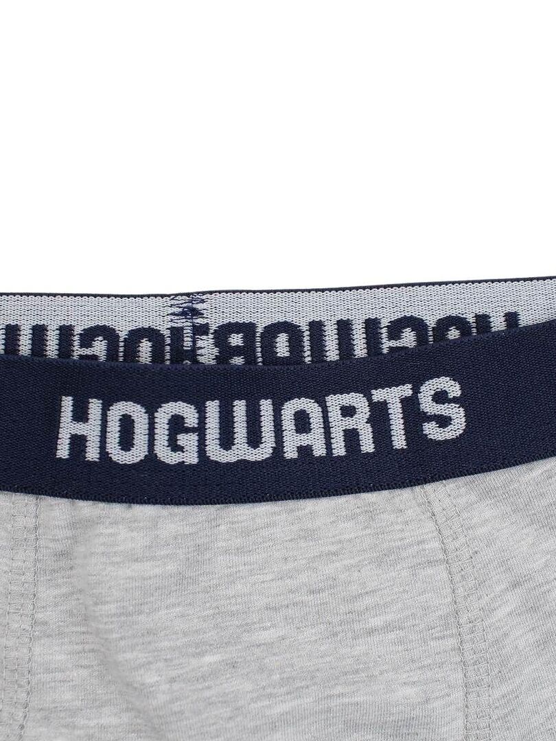 Harry Potter - Boxer garçon imprimé Harry Potter en coton - Gris ...