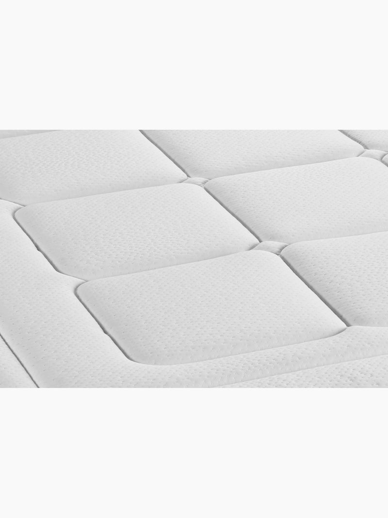 Royal Palace Bedding Avis