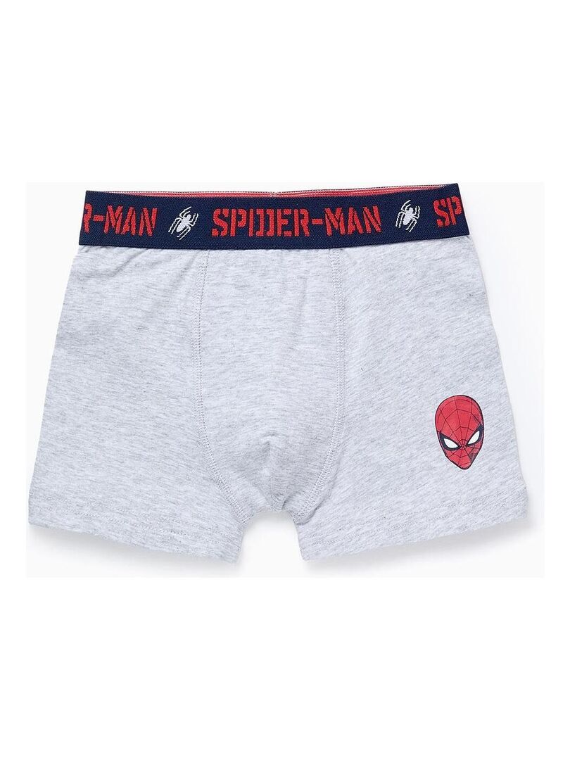 Slips avec motif/impression Spider-Man MARVEL SPIDERMAN - Bleu Gris ...