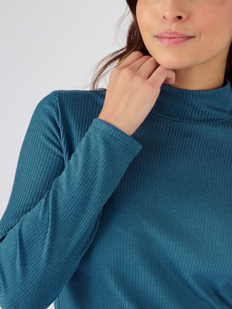 Sous-pull col montant maille côtelée labellisée Thermolactyl et soie ...