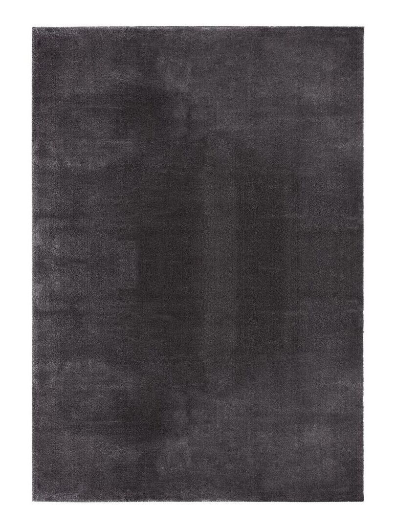 Tapis longs poils shaggy tissé motif uni LOFTUNI - Multicolore - Kiabi - 54.99€