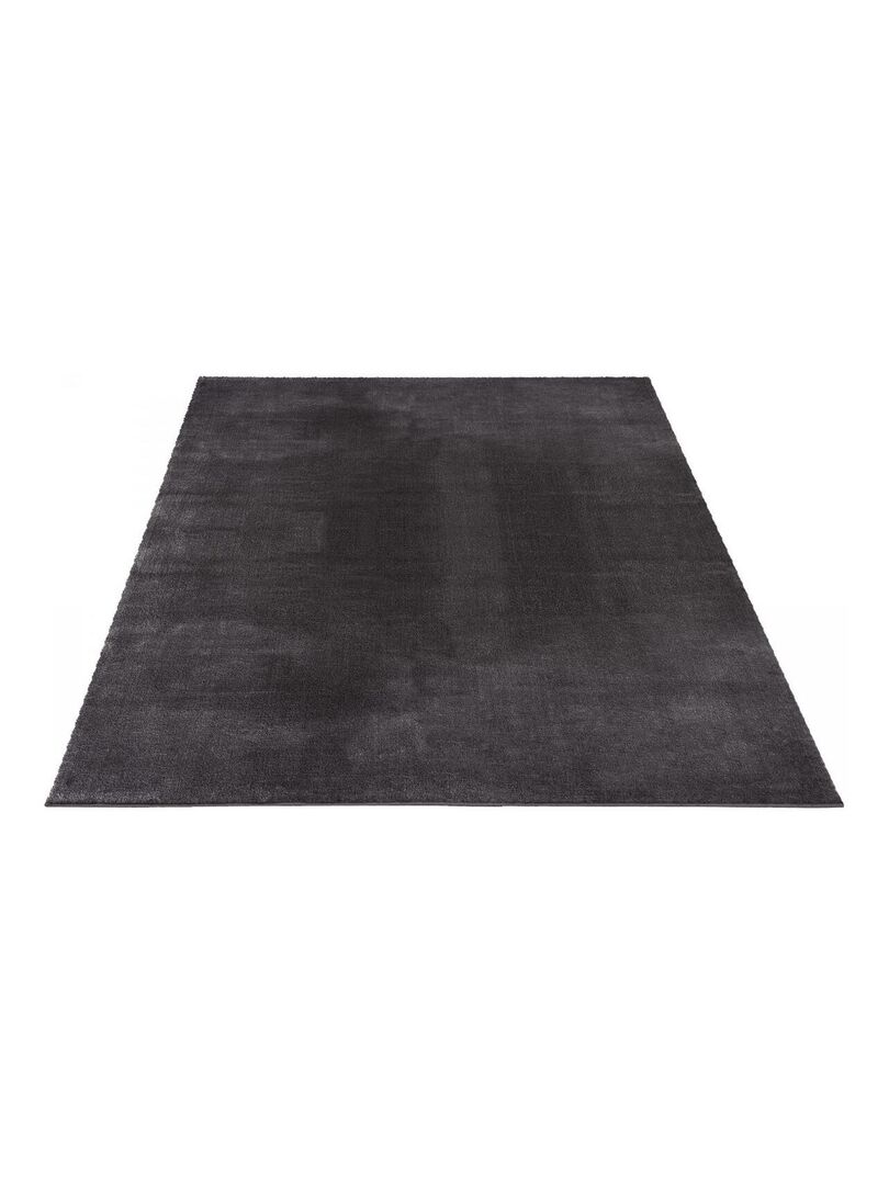 Tapis longs poils shaggy tissé motif uni LOFTUNI - Multicolore - Kiabi - 54.99€