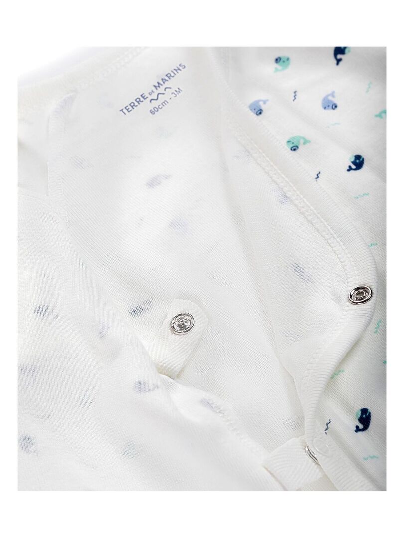 Tee Shirt Ml Enfant Terre de Marins - Bleu - Kiabi - 12.60€